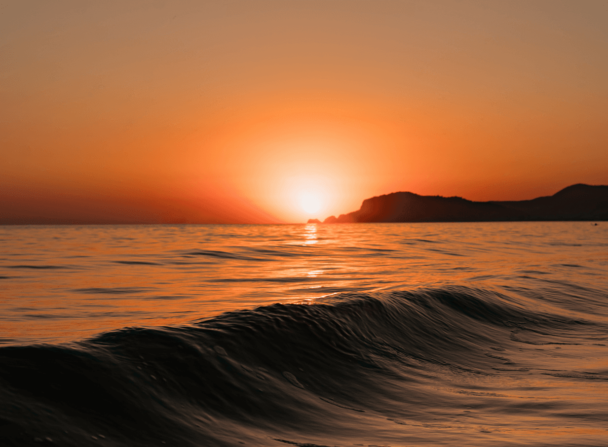 IOL-X Portal - Home | IOL-X Portal